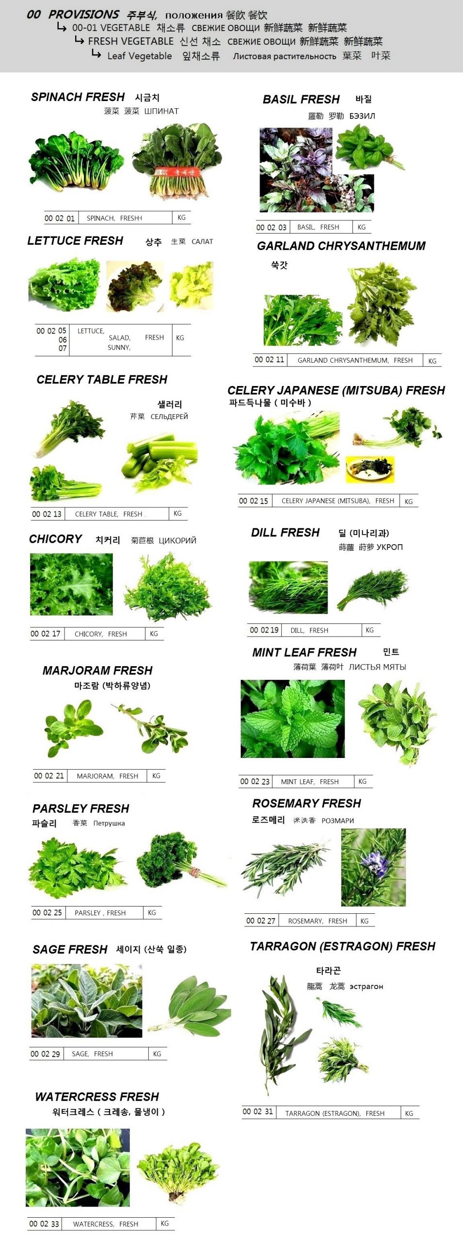 Impa Code: 000225 - DSS Maritime